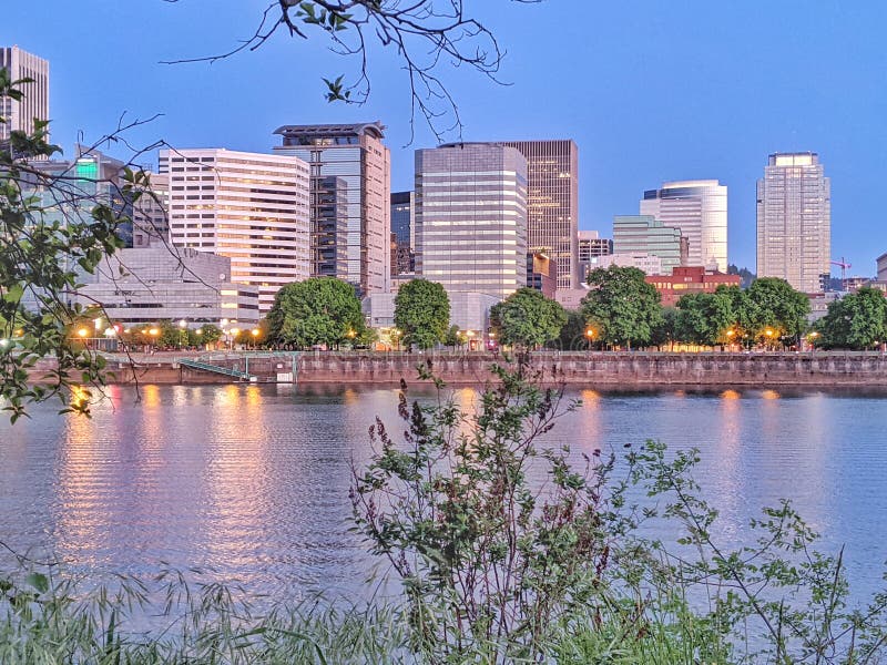 Portland city skyline stock image. Image of flower, plant - 226671273