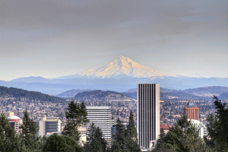 Portland Downtown Skyline Mount Hood Stock Photo - Image of landscape ...