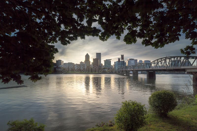 Portland Oregon Skyline Under the Trees at Sunset Stock Photo - Image ...