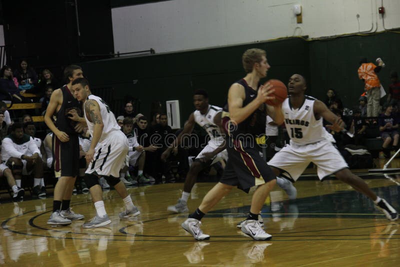 Portland State Vikings editorial photography. Image of state - 61207107