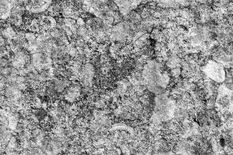 Portland stone stock photo. Image of rocky, freestone - 34470186