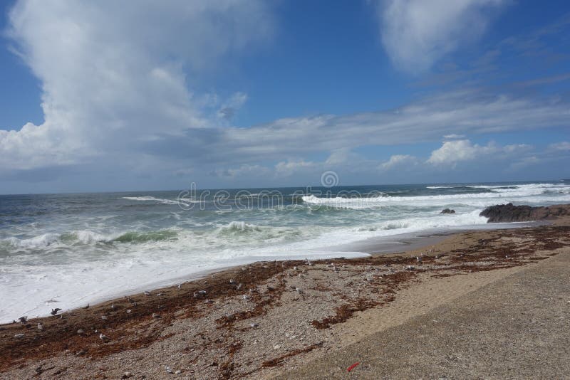 Porto Coast with Ocean Waves Stock Image - Image of praia, classic ...
