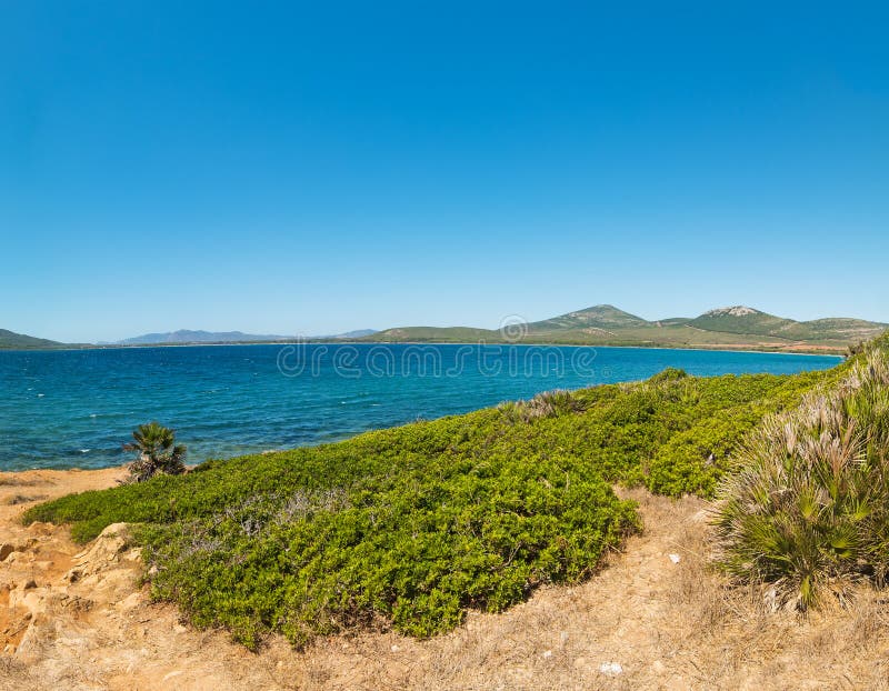Porto Conte sea stock image. Image of clear, nature, shoreline - 74958945