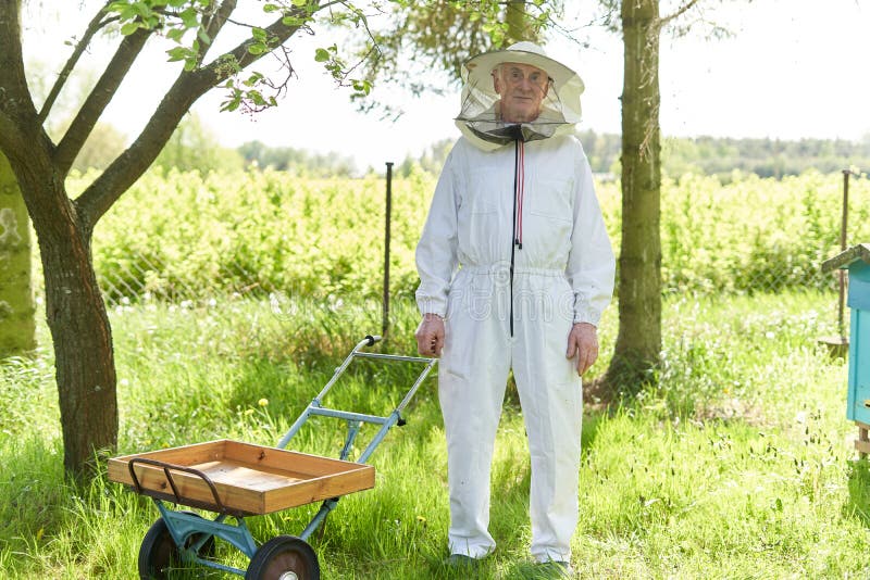 Portrait of an Aged Beekeeper in a Farm Stock Photo - Image of apiary ...