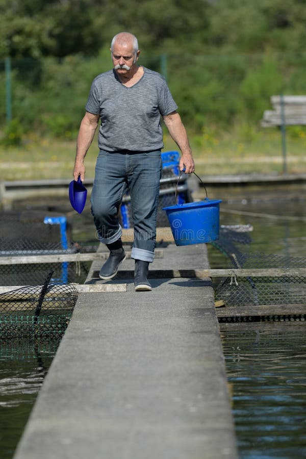 Portrait Aged Fish Farm Employee Stock Image - Image of industrial ...