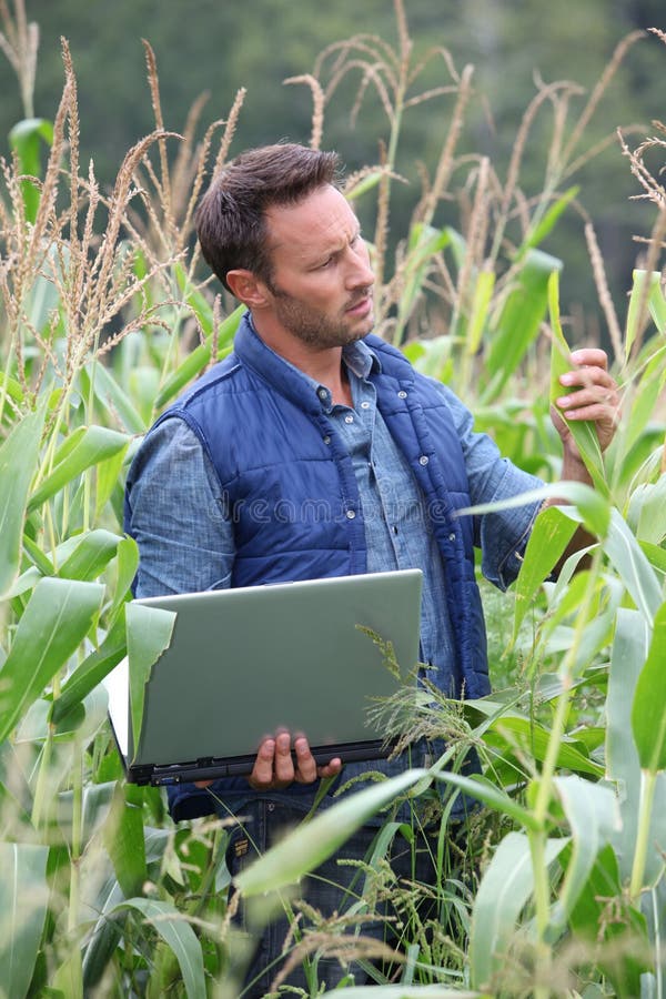 Portrait of agronomist stock image. Image of engineer - 16362421