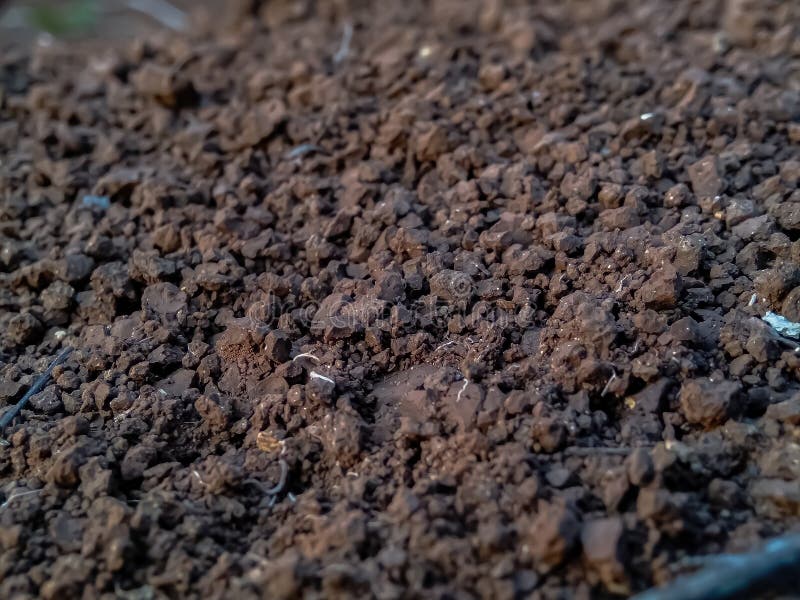 Portrait of the Arid and Dry Red Land Stock Photo - Image of earth ...