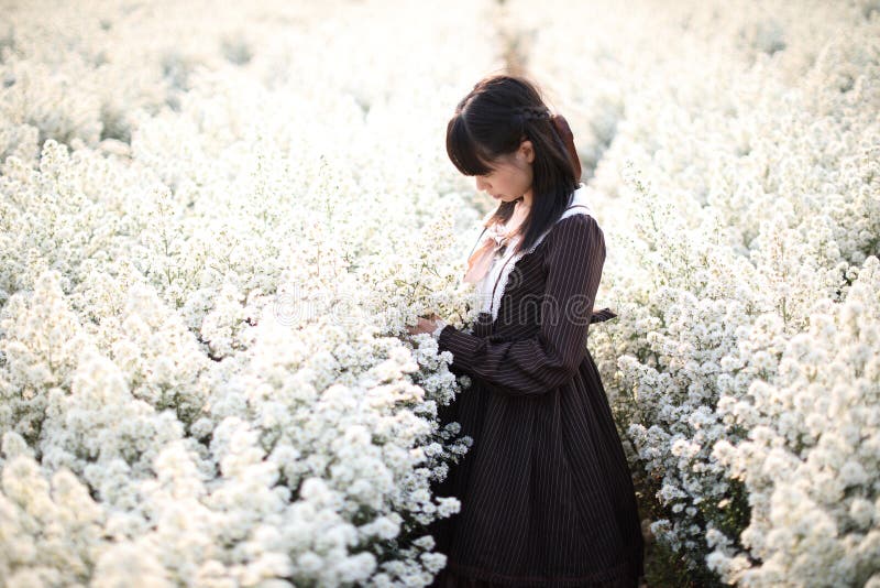 Portrait Asian Girl with Little White Flowers Background Stock Photo ... Portrait Asian Girl with Little White Flowers Background Stock Photo ...