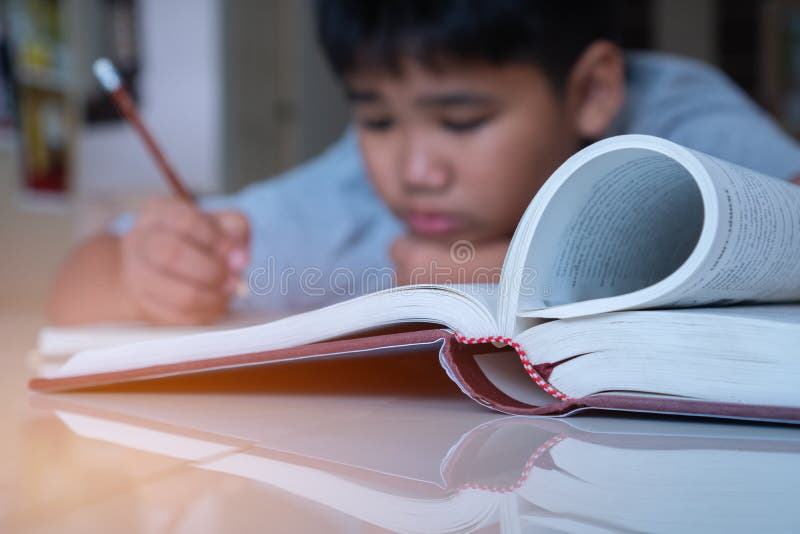 Portrait Asian Student Boy Elementary Lay Doing His Homework on ...