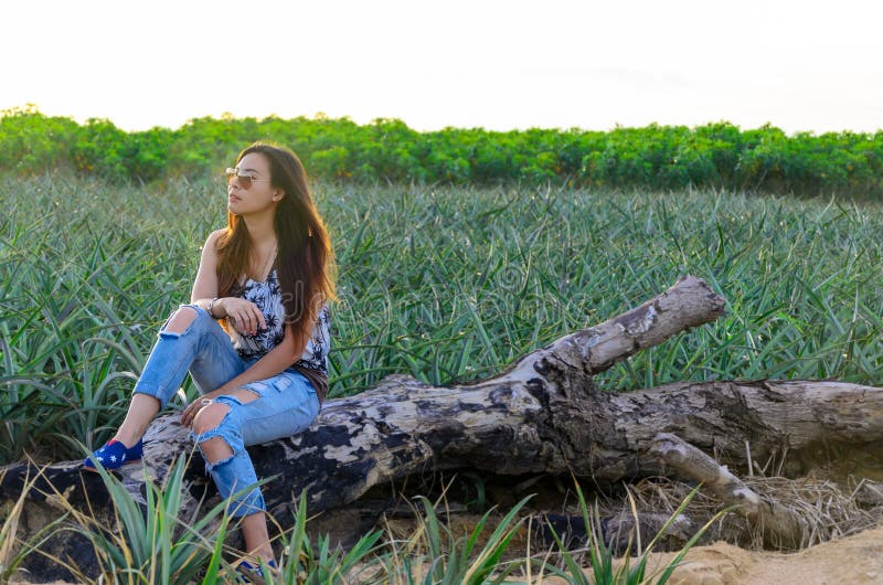 Portrait of an Attractive Girl in a Pineapple Field at Sunset Stock ...