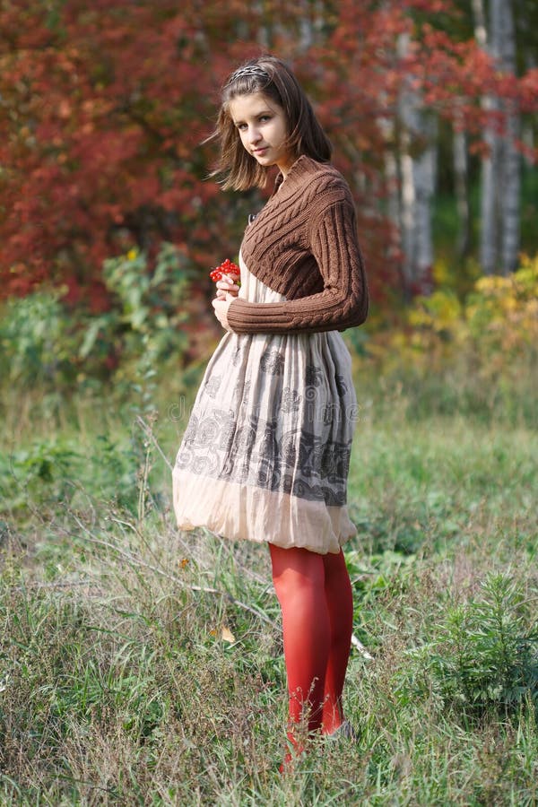 Portrait in the Autumn Forest Stock Image - Image of portrait, girl ...