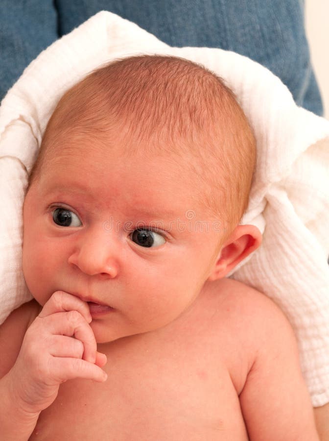 Portrait of Baby stock image. Image of four, month, infant - 25020071