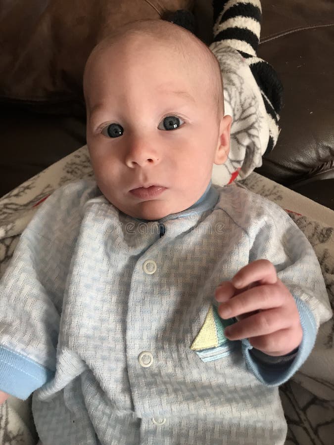 Portrait of a Baby Boy stock photo. Image of curious - 110650834