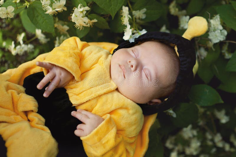 Portrait of Baby Dressed As Bee Stock Photo - Image of flower ...