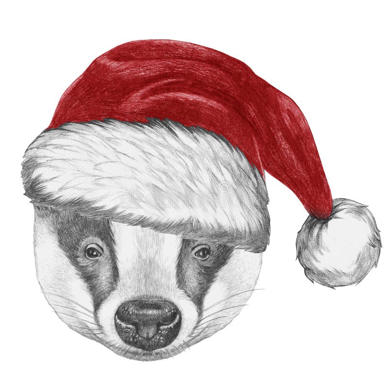 Portrait of Badger with Santa Hat. Stock Illustration - Illustration of ...