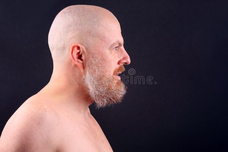 Portrait of a Bearded and Bald Man in Profile Stock Image - Image of ...