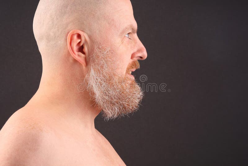 Portrait of a Bearded and Bald Man in Profile Stock Image - Image of ...