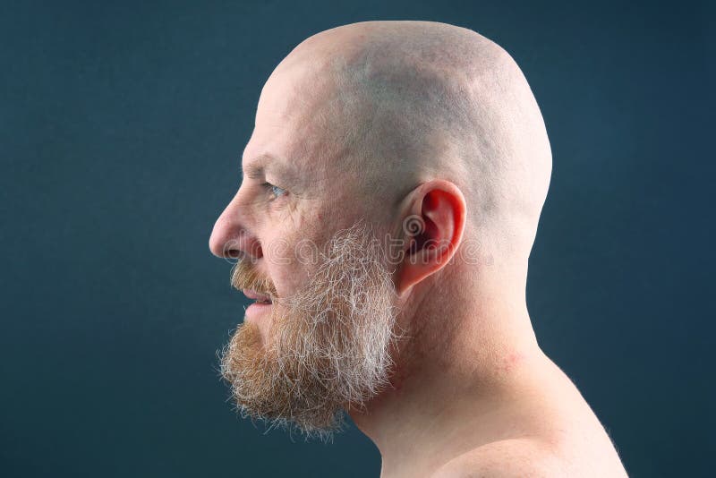 Portrait of a Bearded and Bald Man in Profile Stock Image - Image of ...