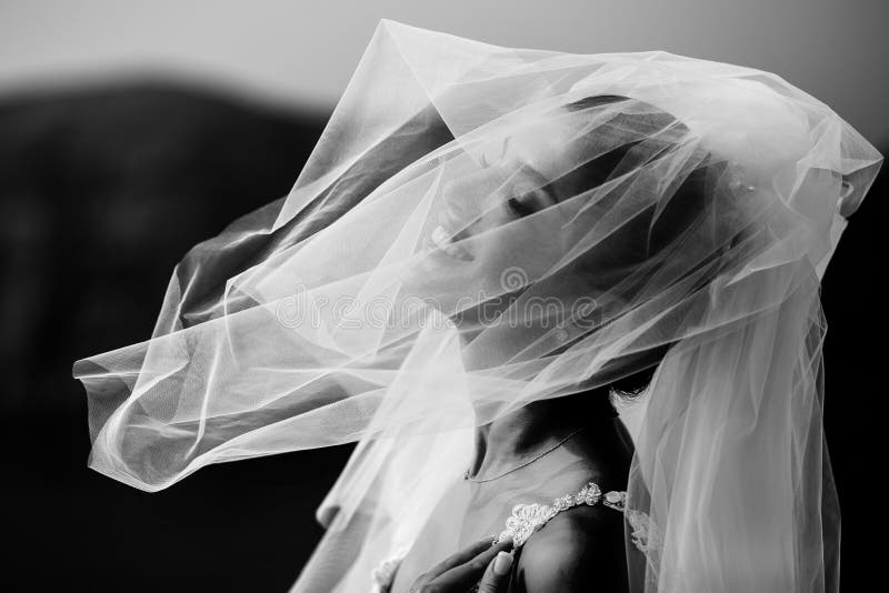 Portrait of Beautiful Bride in Veil B&w Stock Image - Image of white ...