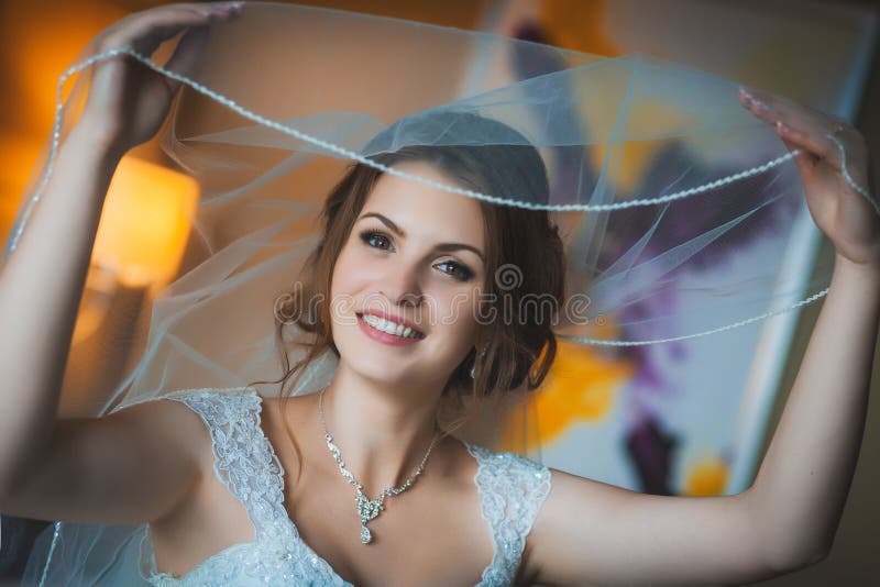 Portrait of a Beautiful Bride Stock Photo - Image of beauty, bride ...