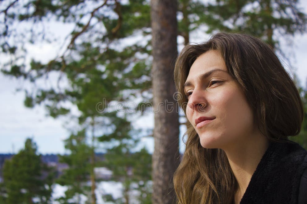 Portrait of a Beautiful Female Stock Photo - Image of face, adult: 24290216