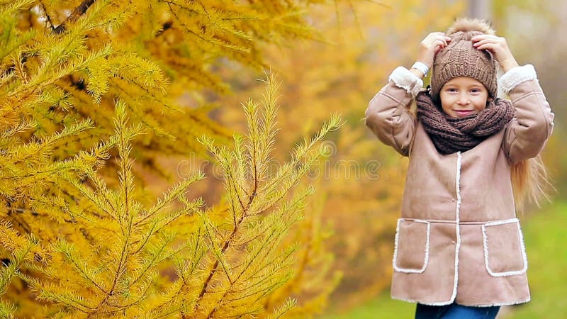 Portrait of Beautiful Girl Background Yellow Trees in Fall Stock ...