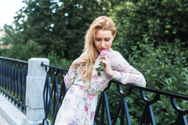 Portrait of Beautiful Girl with Pin Rose Stock Image - Image of bush ...