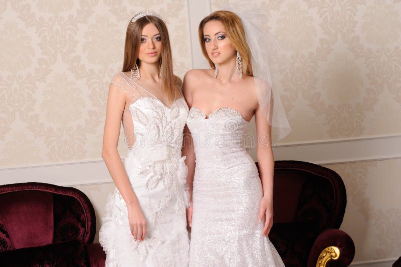 Portrait of Beautiful Two Brides Stock Image - Image of beauty ...