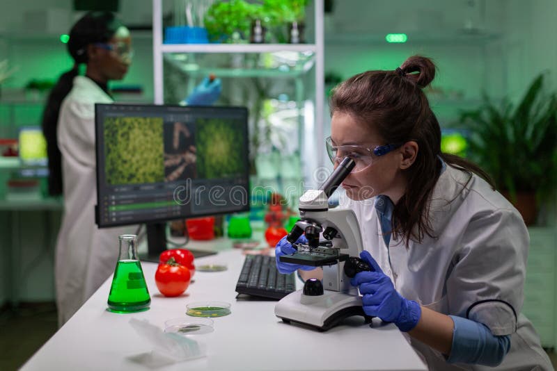 Portrait of Biologist with Test Tube Stock Photo - Image of examining ...