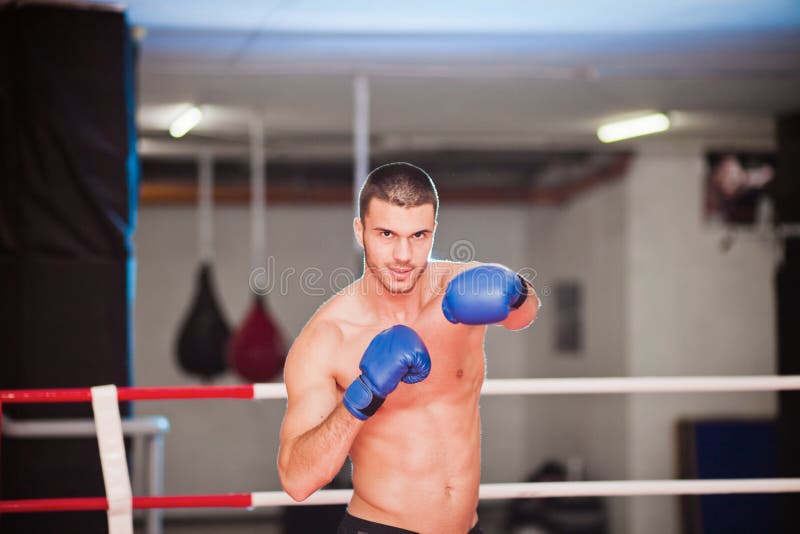 Portrait of boxer stock image. Image of fitness, background - 142965607