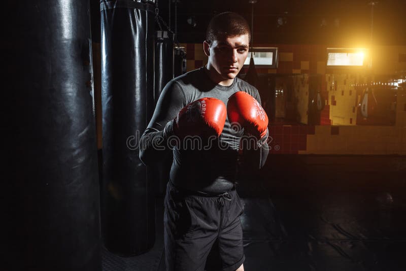 Portrait of a Boxer in the Gym, a Man Looks Aggressive Stock Image ...