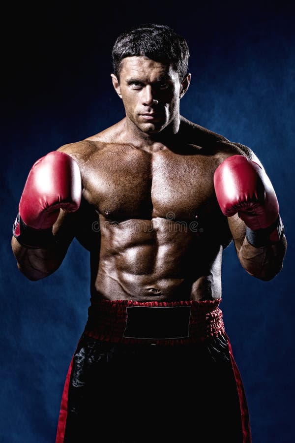 Portrait of Boxer Posing in Studio in Gloves Stock Photo - Image of ...