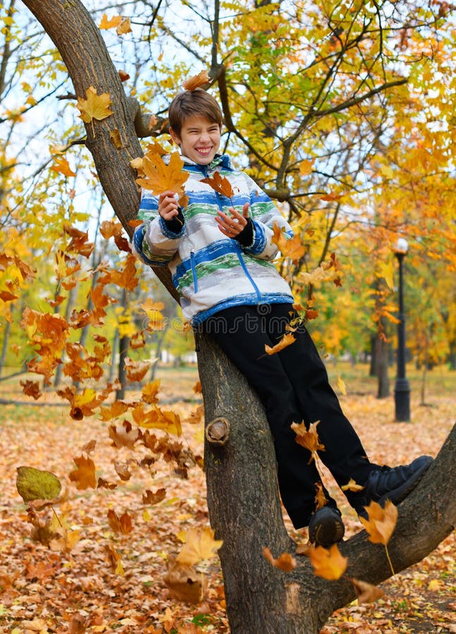 Portrait of a Boy in an Autumn Park. the Boy Climbed a Tree and Playing ...