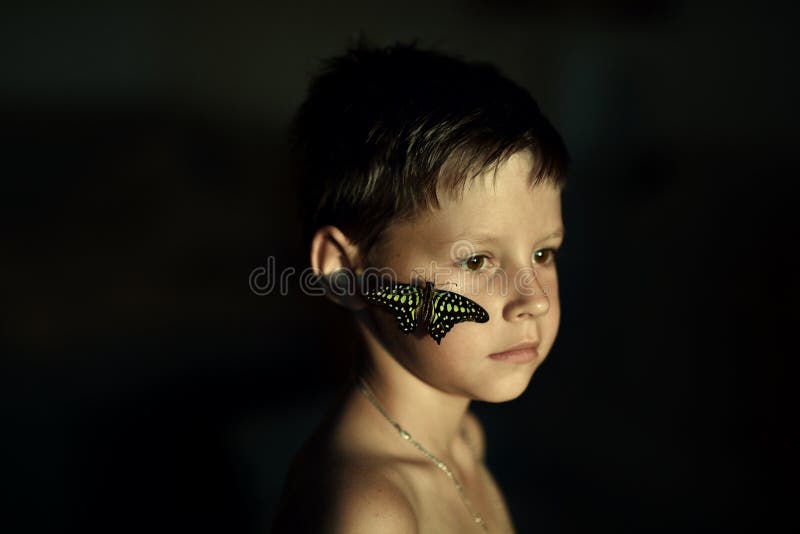 Portrait of a Boy with a Butterfly Stock Image - Image of brown, loving ...