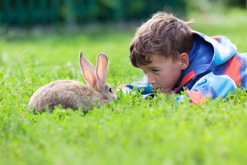 2,519 Bunny Teen Stock Photos - Free & Royalty-Free Stock Photos from ...