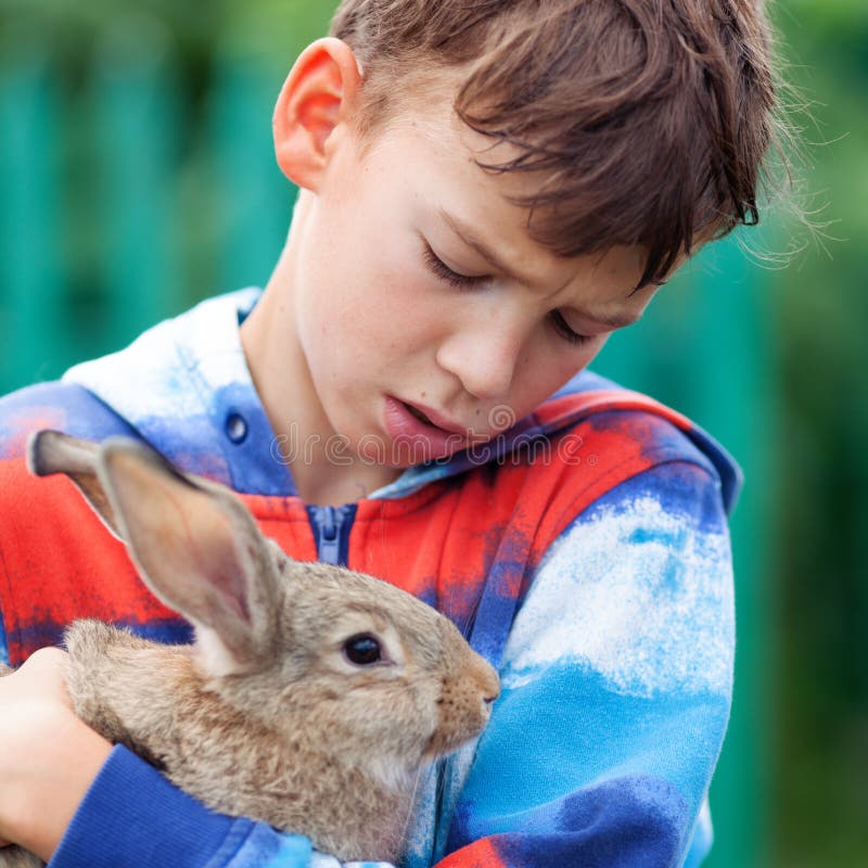 Portrait of Boy, he is Holding Rabbit Stock Image - Image of child ...