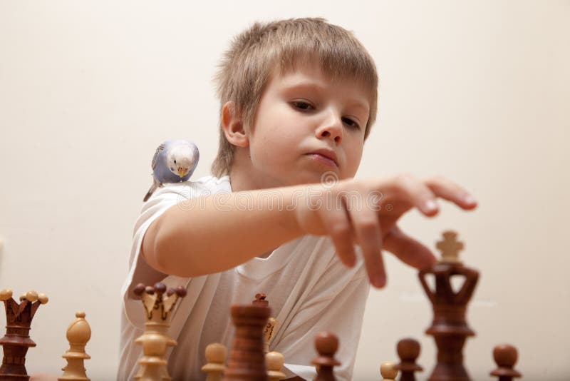Portrait of a Boy Playing Chess Stock Photo - Image of human ...