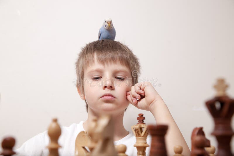 Portrait of a Boy Playing Chess Stock Image - Image of clever ...