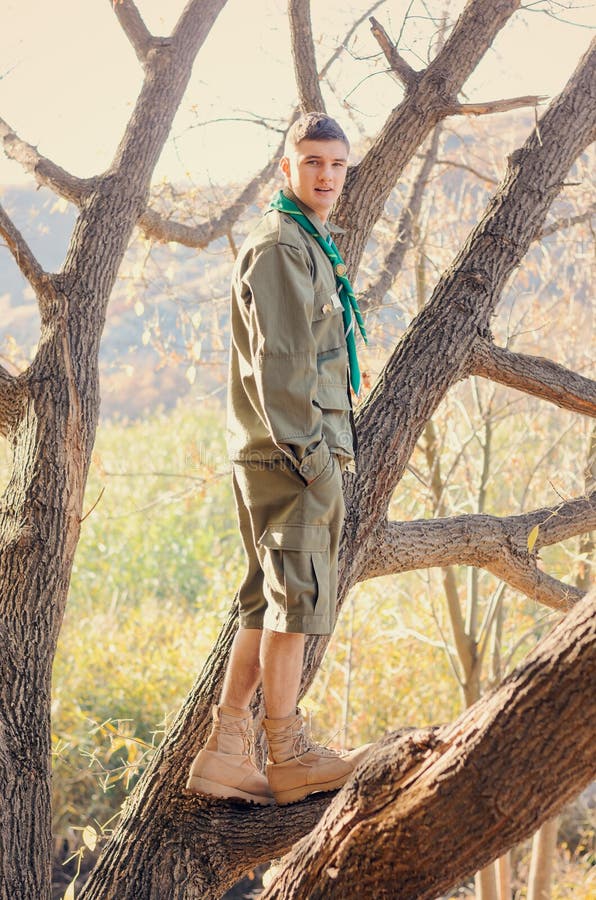 Portrait of Boy Scout Standing in Tree Stock Image - Image of teenager ...
