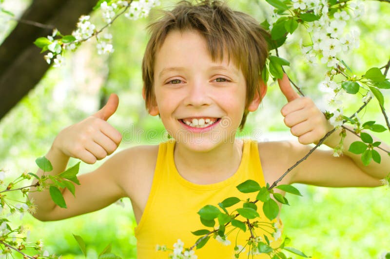 Little boy in pines forest stock photo. Image of beauty - 15071722