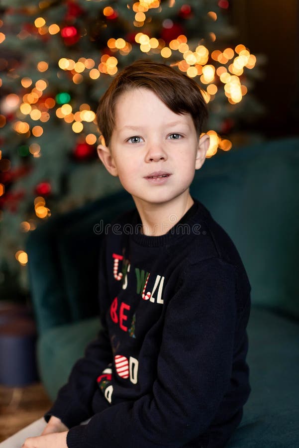 Portrait of a Boy on a Sofa Against a Background of a Christmas Tree ...