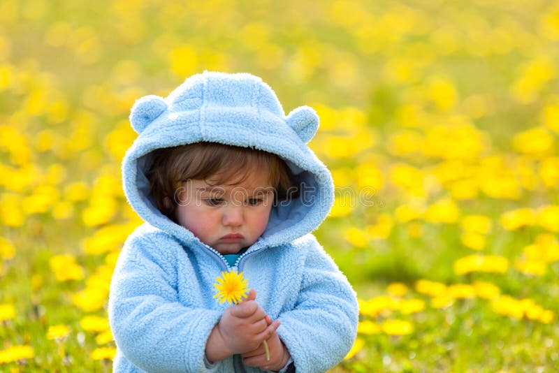 Boy in Spring Flowers Field Stock Image - Image of toddler, baby: 30773459