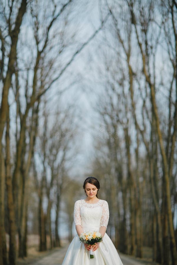 Portrait of the bride stock photo. Image of young, beautiful - 89245136