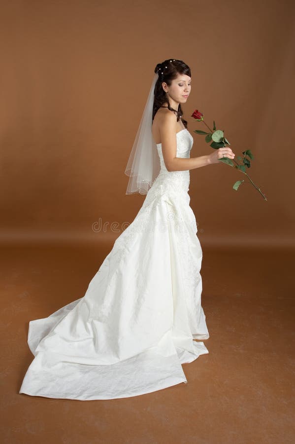 Portrait of the Bride with a Rose Stock Photo - Image of darling, dress ...