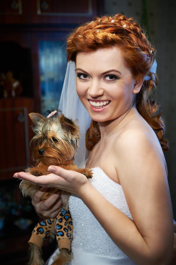Portrait of a Bride with a Small Dog Stock Photo - Image of hand, girl ...