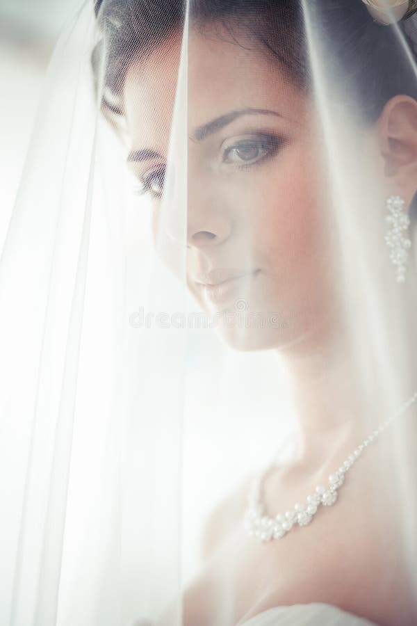 Portrait of the Bride with a Veil Covered Face Stock Image - Image of ...