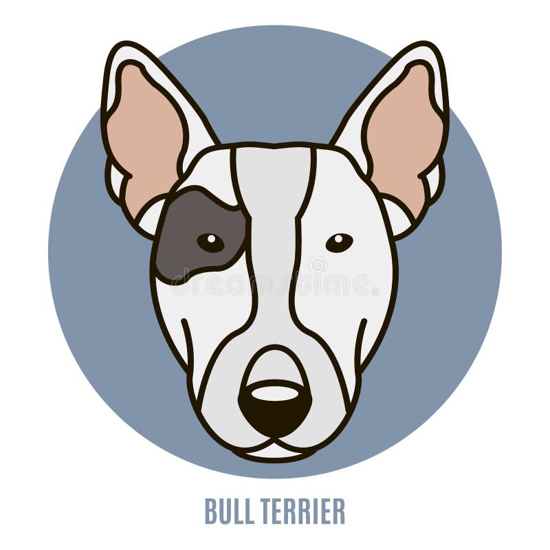 Portrait of Bull Terrier. Vector Illustration Stock Vector ...