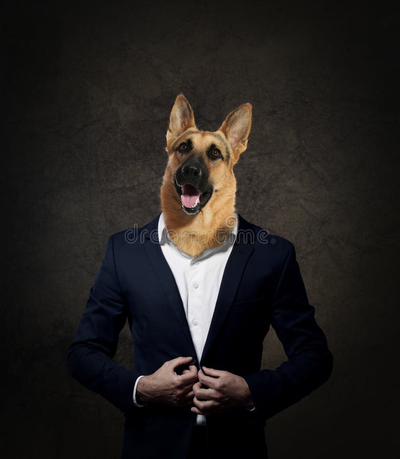 Portrait of Businessman with Dog Face on Dark Background Stock Image ...