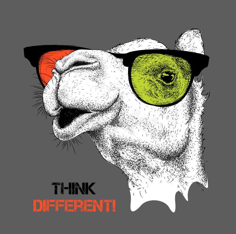 Portrait of the Camel in the Colored Glasses. Think Different. Vector ...