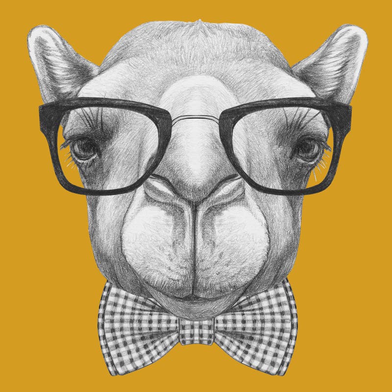 Funny Camel Face Stock Illustrations – 353 Funny Camel Face Stock ...